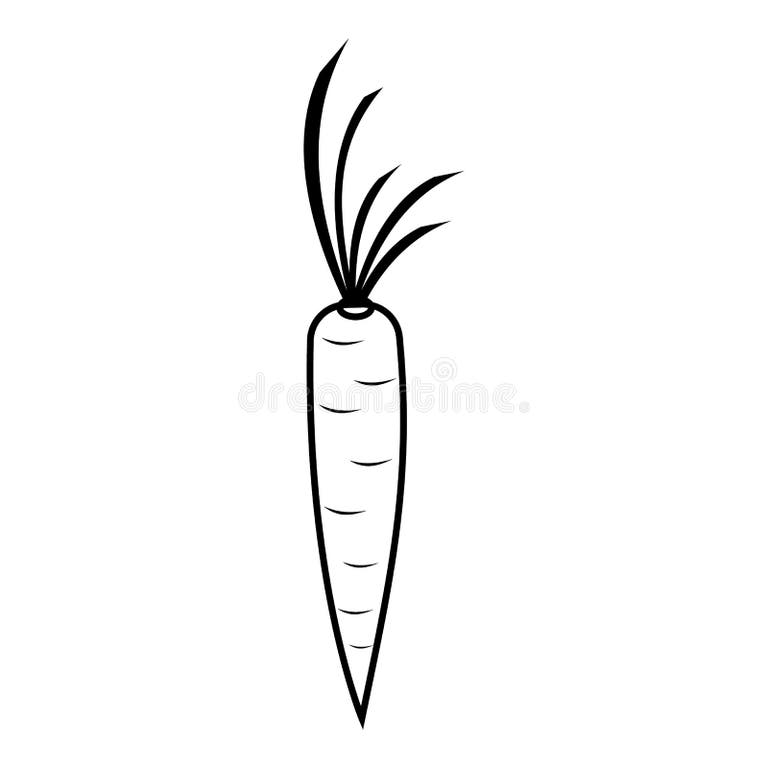 Carrot Outline Stock Illustrations – 19,725 Carrot Outline Stock ...