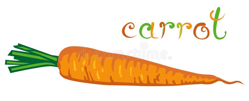 Carrot Stock Vector Illustration Of Farm Healthy Front 40124254
