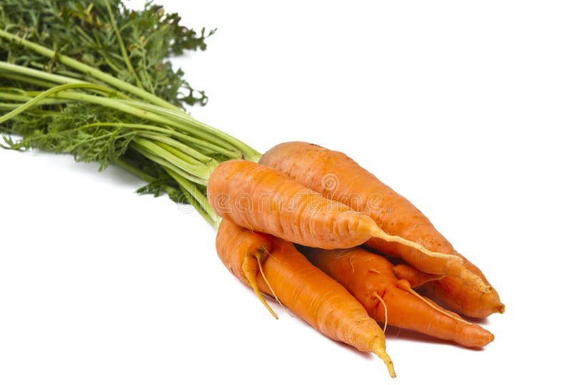 Carrot Agricultural Plant Isolated Stock Image - Image of healthy ...