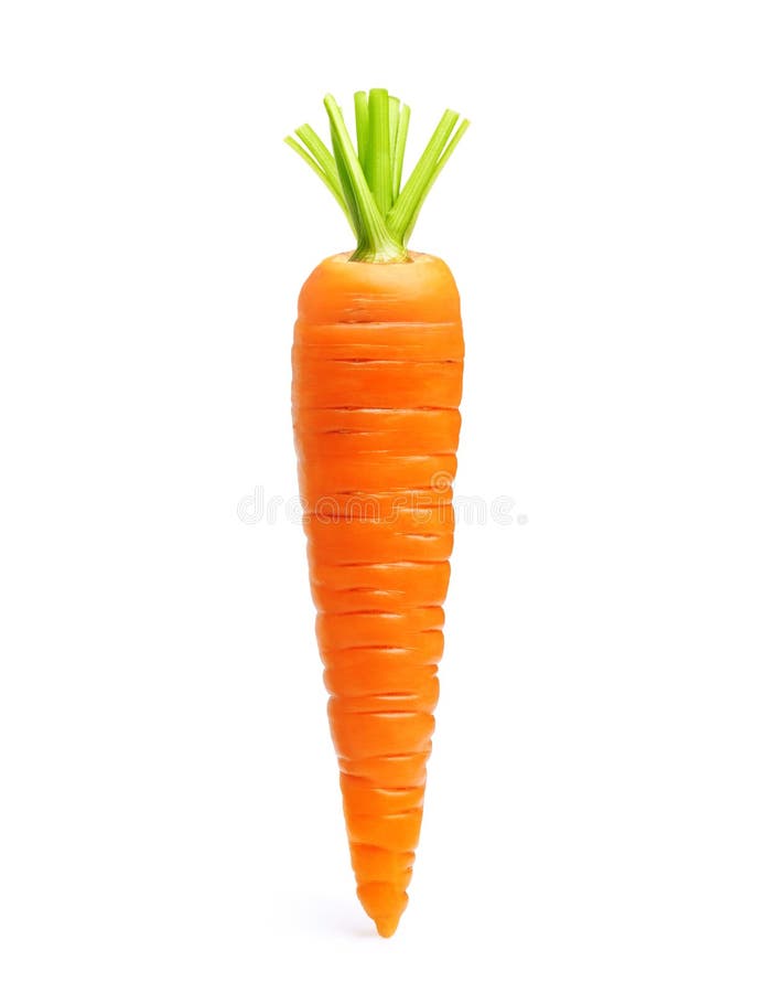 Carrot stock image. Image of delicious, carrot, vegetable - 58733
