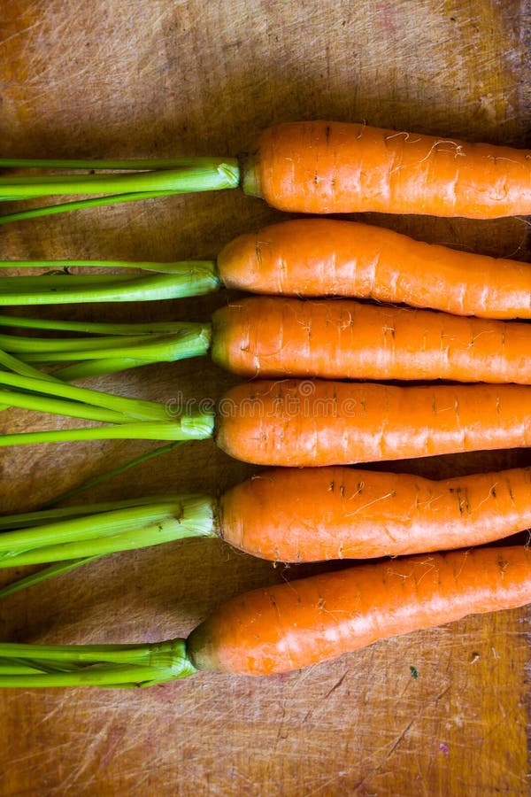 Carrot stock image. Image of nutritious, carrot, green - 41058593