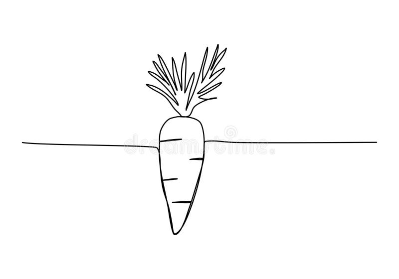 Carrot. One Line Drawing Vector Illustration Stock Vector ...