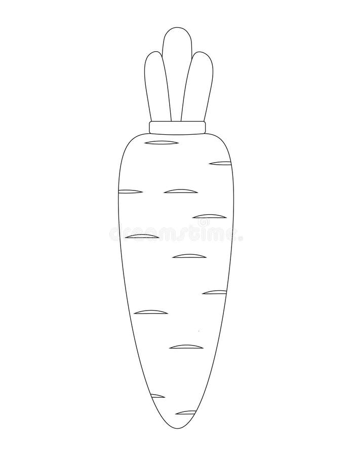 Carrot Outline . Contour Drawing of Vegetables Stock Vector ...