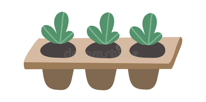 Carrot Plant. Planting Vegetables. Carrot Growth Stage Stock Vector ...
