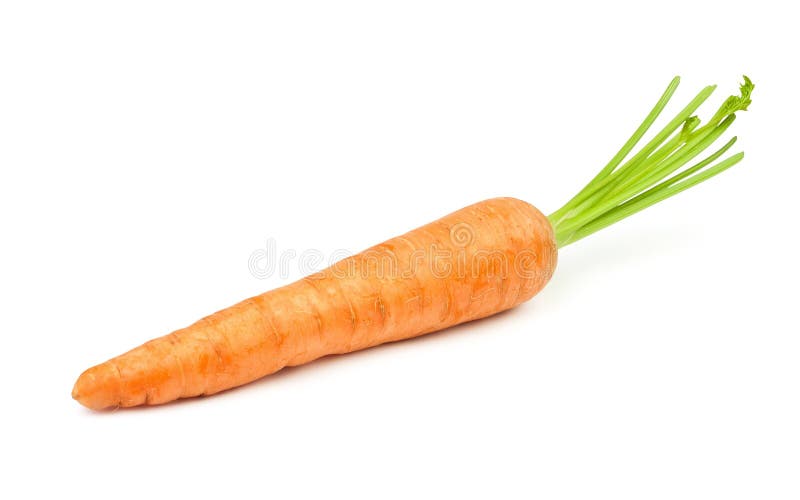 7,976 Single Carrot Stock Photos - Free & Royalty-Free Stock Photos ...
