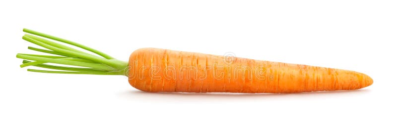 Single Carrot Stock Images - Download 4,446 Royalty Free Photos