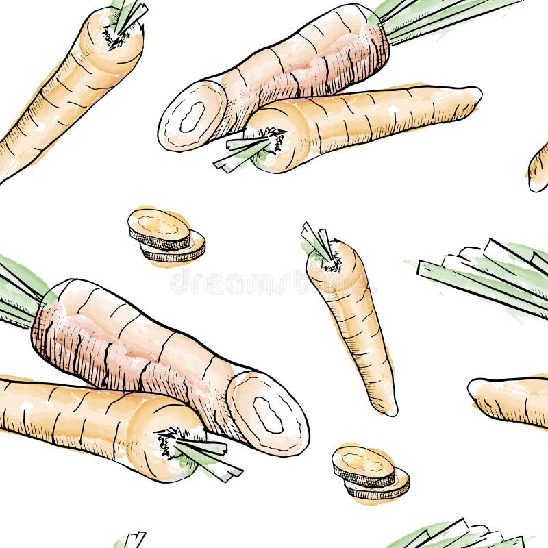 Carrots Pattern Sketch Stock Illustrations – 830 Carrots Pattern Sketch ...