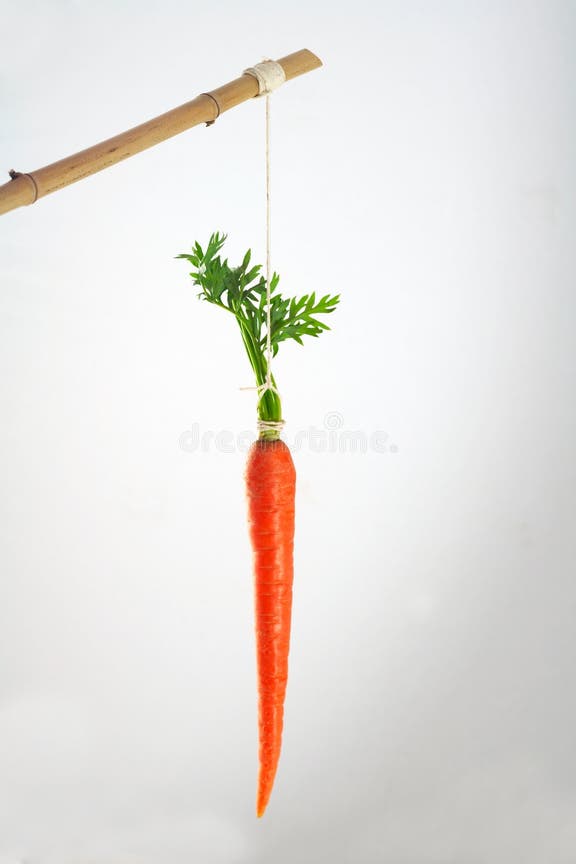 Carrot on a Stick Incentive Stock Photo - Image of conceptual, metaphor ...