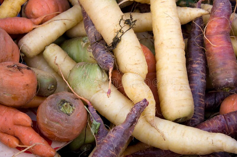 Carrot Varieties Horizontal Stock Image - Image of bunch, colourful ...