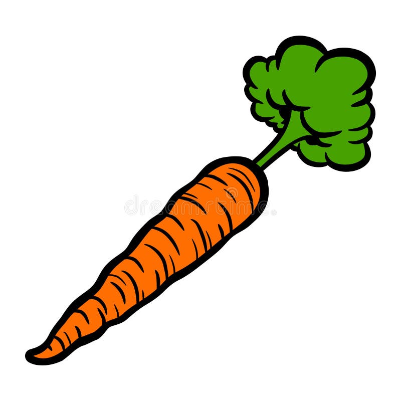 Carrot Stock Vector Illustration Of Fresh Isolated 57716376