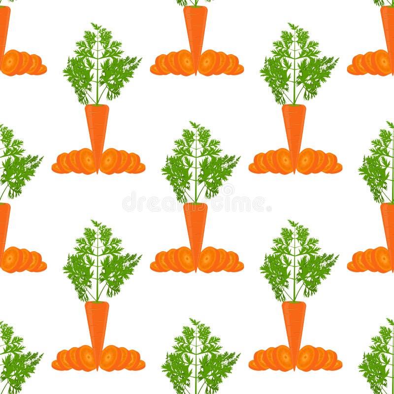 Carrot Vector Seamless Pattern. Flat and Solid Color Vector. Stock ...