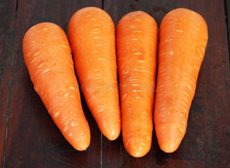 Carrot vegetable stock image. Image of orange, carotene - 35445657