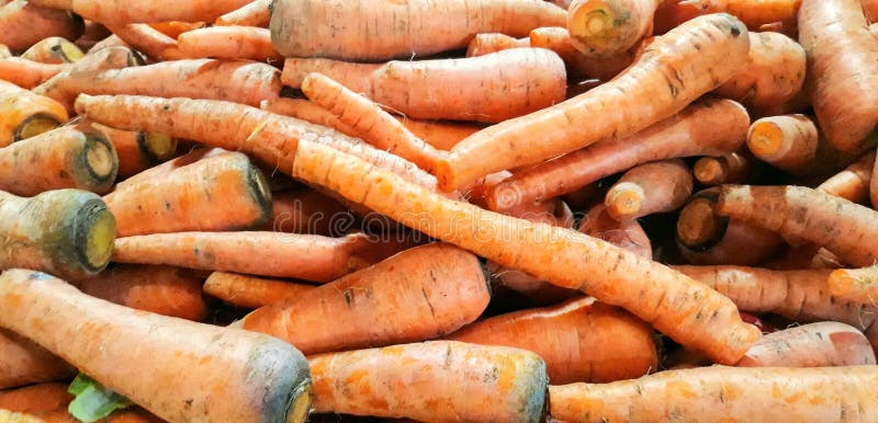 Carrot Vegetable Nature Abstract Backgound Texture Stock Photo - Image ...