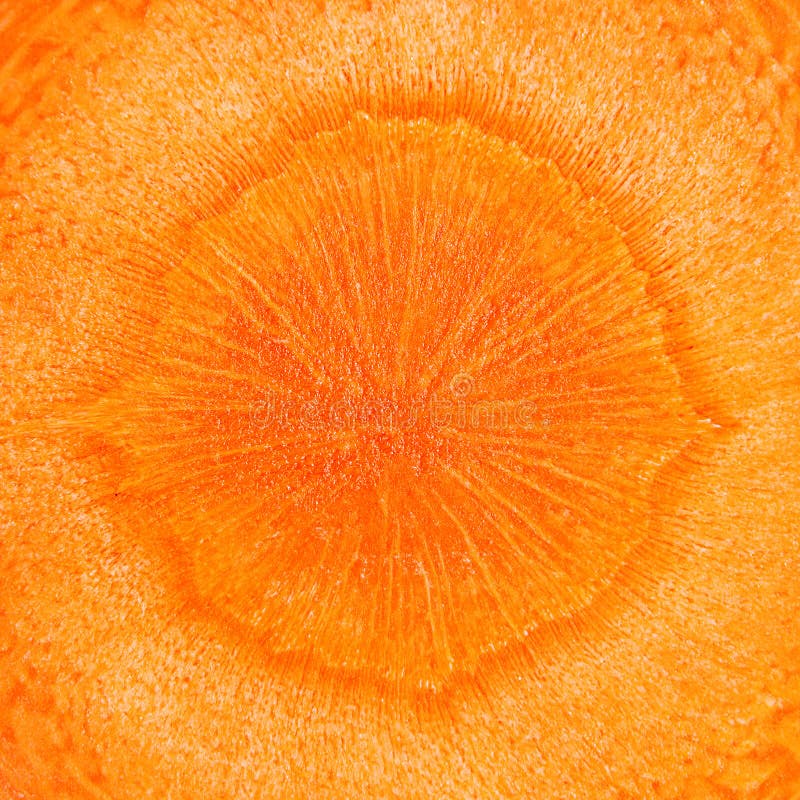 ZOOMED IN PICTURE GUESSING GAME Jeopardy Template