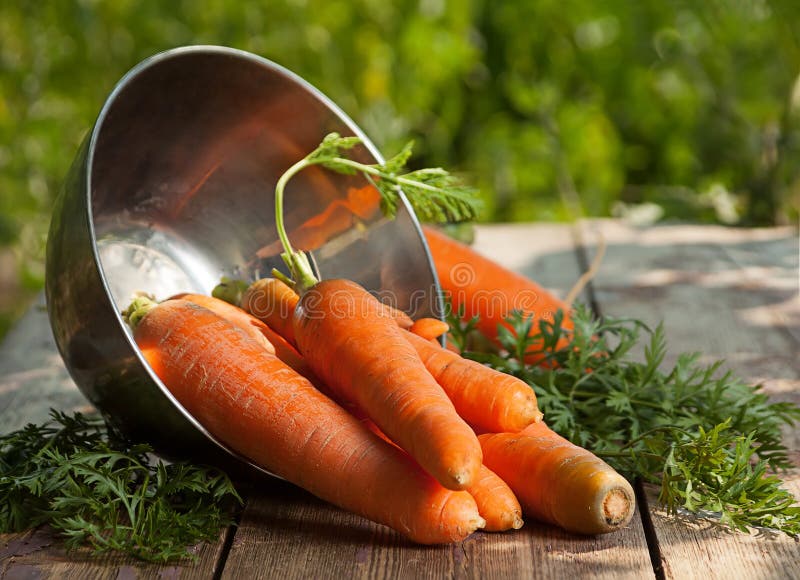 Carrot Vegetable on Wood Table Stock Photo - Image of crop, natural ...