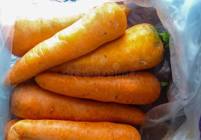 Carrot Vegetables are Fresh and Healthy for the Eyes Stock Image ...