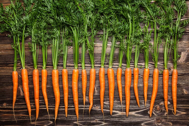 Carrot on wooden table stock photo. Image of bunch, food - 100679288