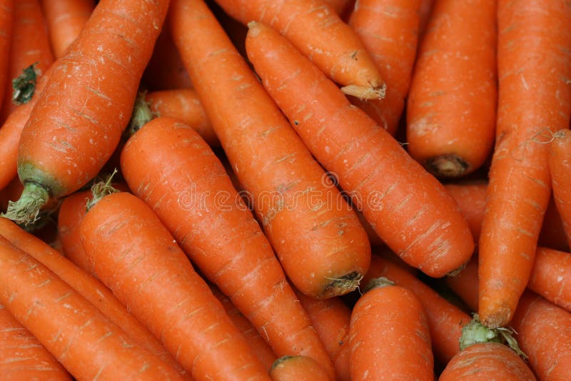 Carrots stock image. Image of vegetable, fruits, bunch - 19154713