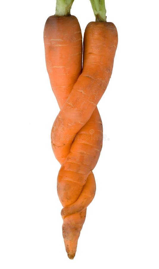 Carrots stock image. Image of farm, healthy, hugging - 11664809