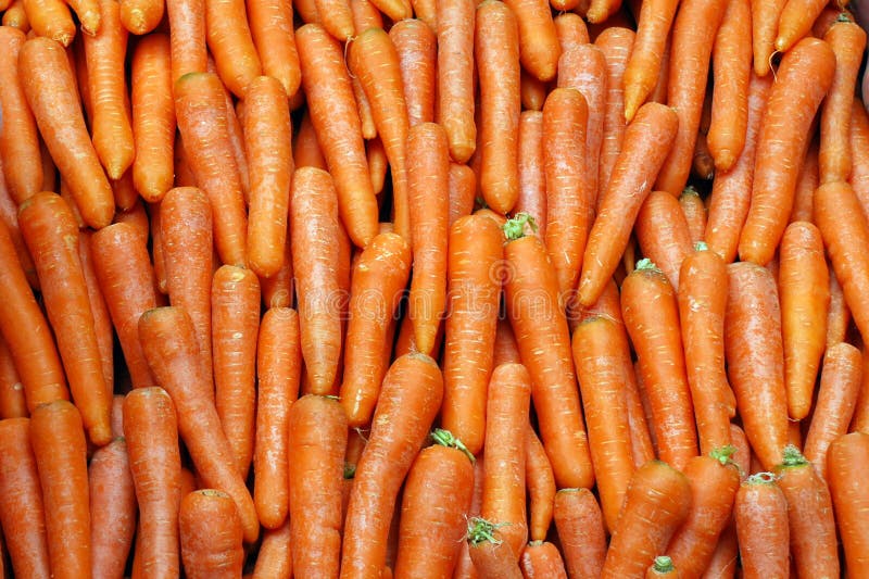 Carrots stock image. Image of vegetable, fruits, bunch - 19154713