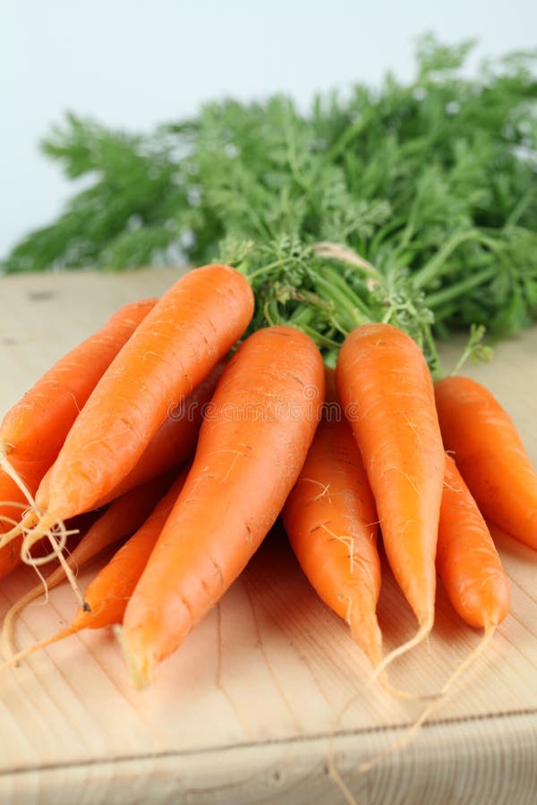 Carrot stock image. Image of tasteful, orange, uptaste - 1745681