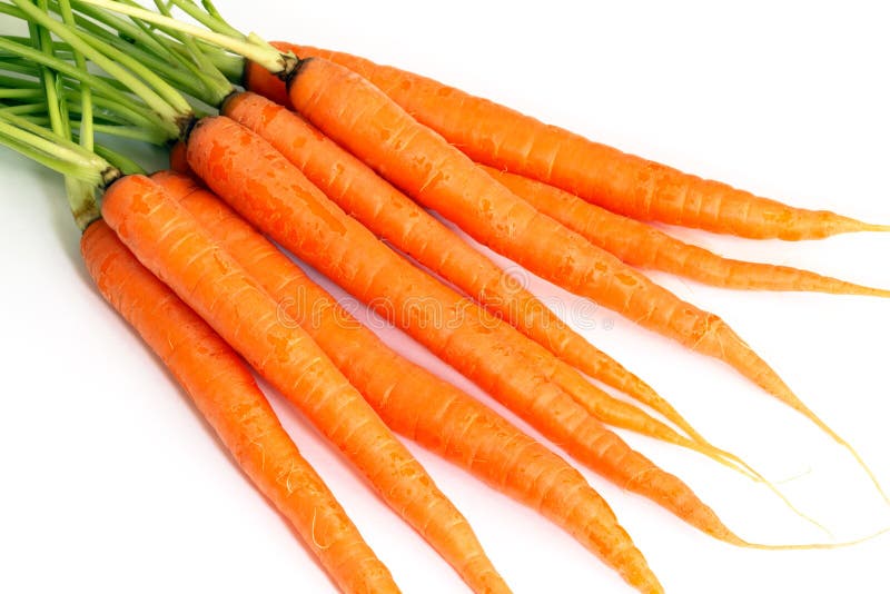 Carrots stock photo. Image of organic, farm, natural - 44931858