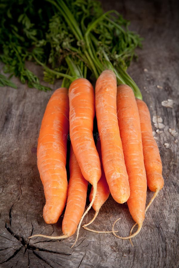 Organic Carrots stock photo. Image of gardening, vegetable - 35358958