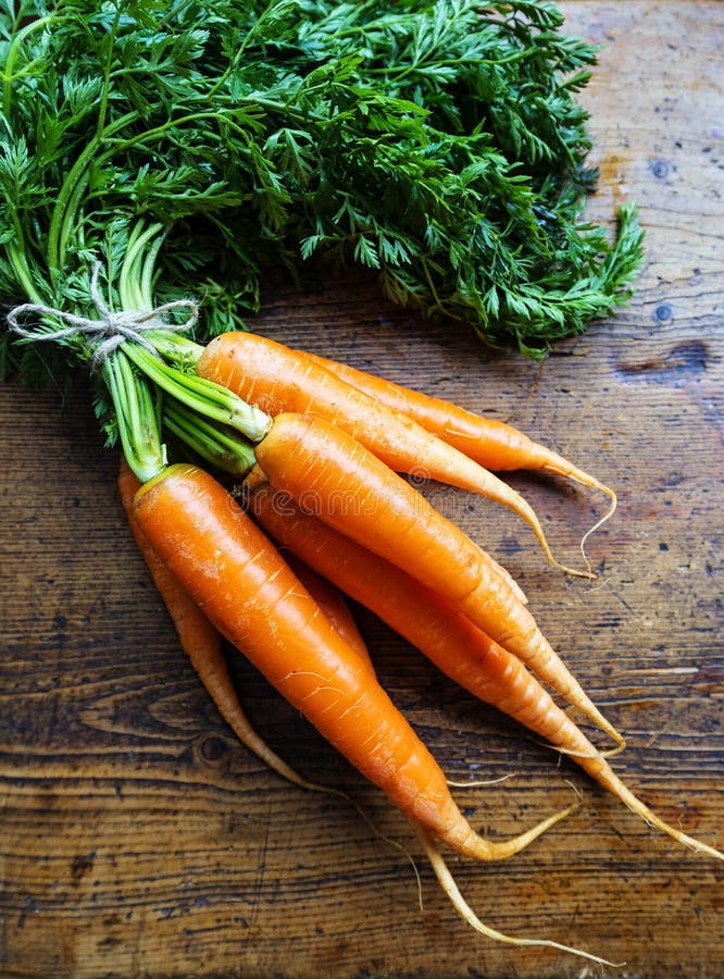 Bundle of carrots stock image. Image of bundle, healthy - 29159289