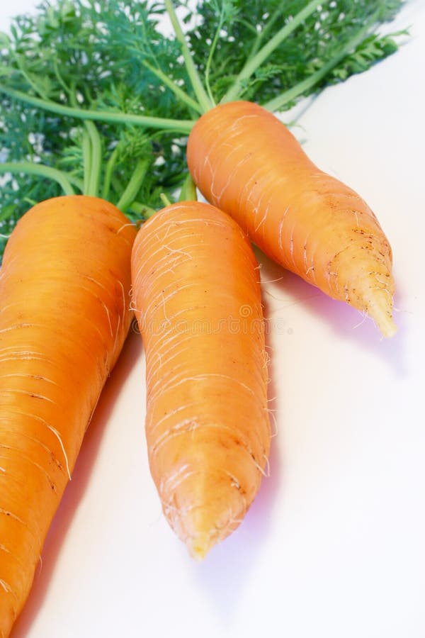 Carrots stock image. Image of produce, assortment, healthy - 426985