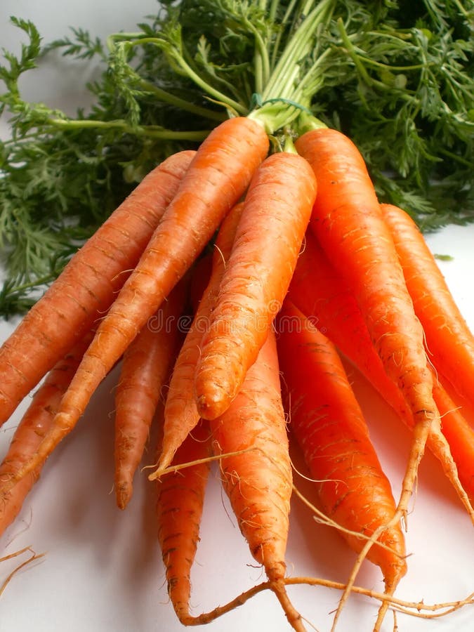 Carrots stock image. Image of root, diet, carotine, carrots - 619085