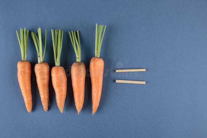 Carrots and Children Mathematics Stock Image - Image of game, knowledge ...