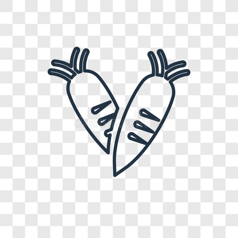 Carrots Concept Vector Linear Icon Isolated on Transparent Background ...