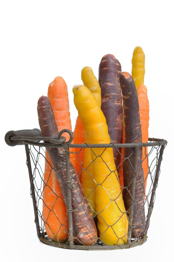 Fresh Colored Carrots stock photo. Image of agriculture - 35826132