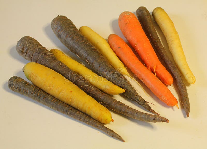 Carrots of Different Colors Stock Photo - Image of cultivate ...