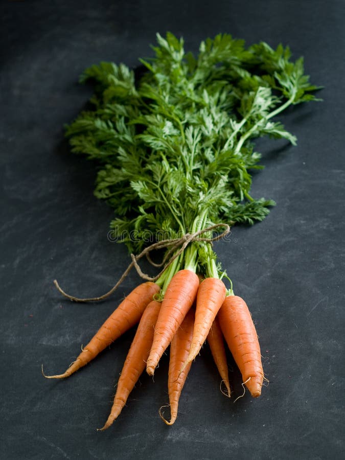 Carrots stock photo. Image of ripe, agriculture, vegetarian - 39242936