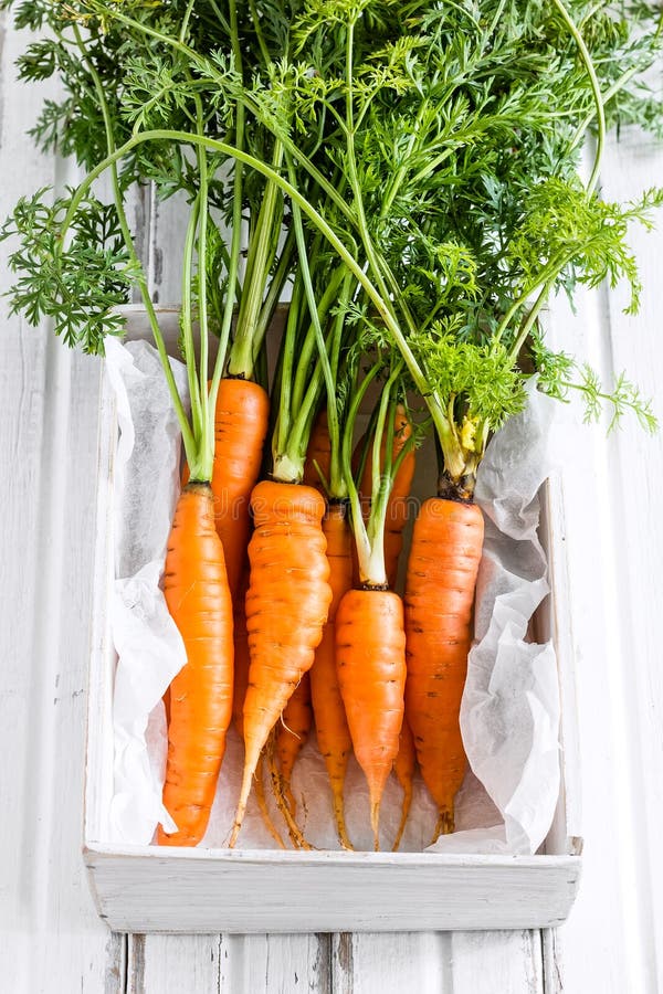 Carrots stock image. Image of plant, fresh, orange, food - 33750407