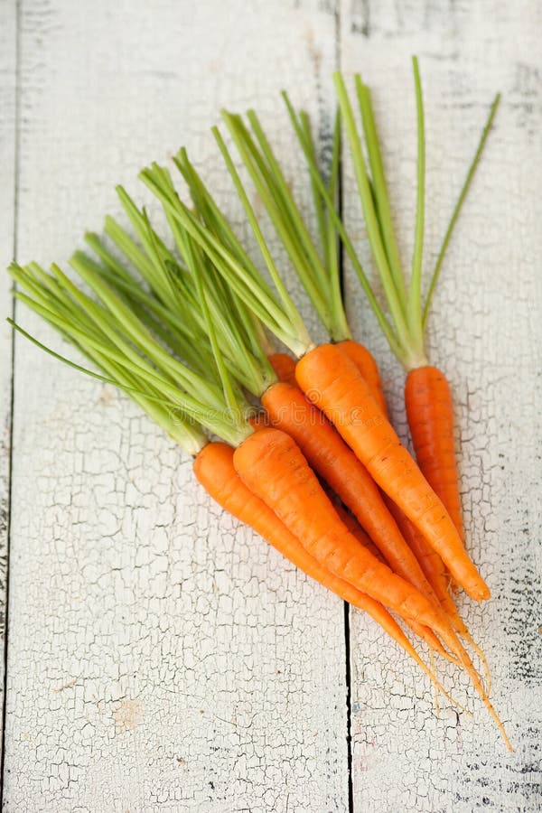Carrots stock image. Image of group, freshness, cooking - 33089957