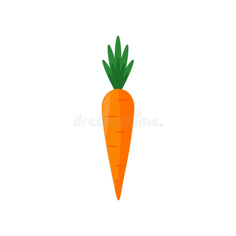 Carrots Icon Isolated on White Background Stock Vector - Illustration ...
