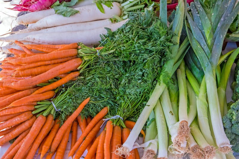 Herbage stock photo. Image of thyme, gardening, lemon - 33836888