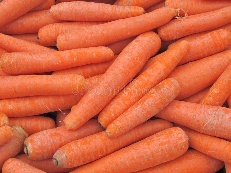 Carrots stock photo. Image of carrot, sugary, group, carotin - 33534538