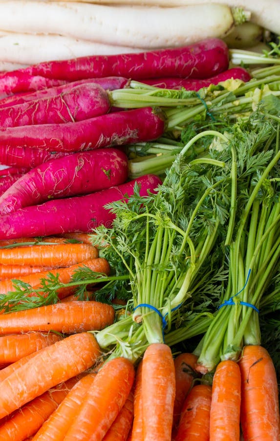 Organic Carrots stock photo. Image of food, growth, diet - 2907916