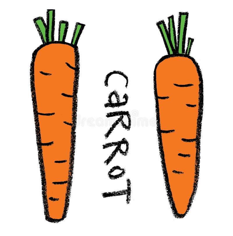 The Carrots.Simple Design. Line Vector Stock Vector - Illustration of ...