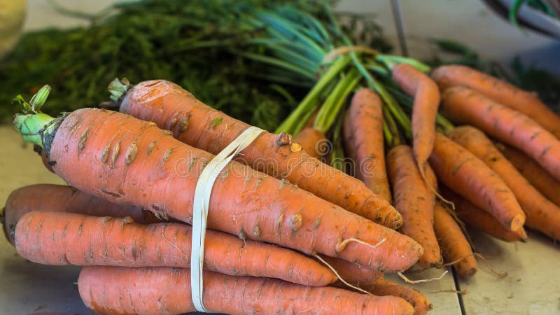 Carrots stock image. Image of harvest, green, yellow - 82122377