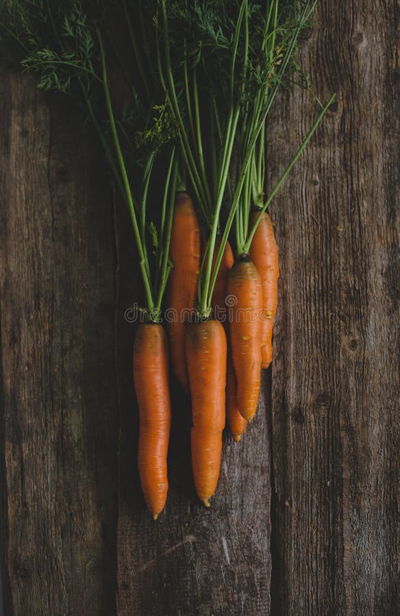 Carrots on the table stock photo. Image of nutrition - 46100504