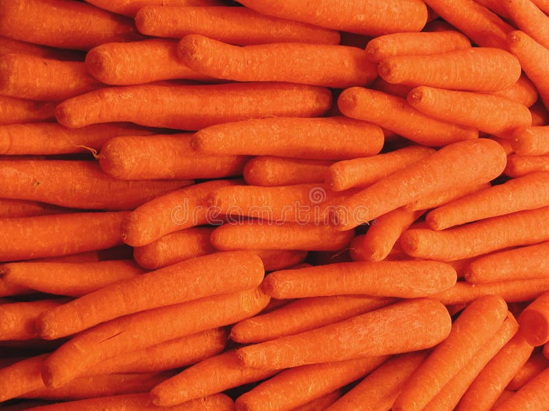 Carrots texture stock image. Image of dinner, abstract, guides - 39559