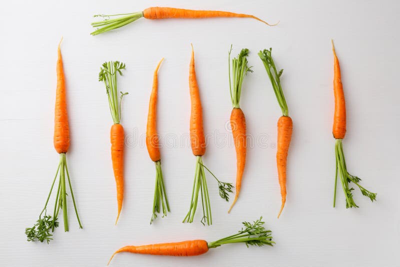 Carrots Top View on White Background Stock Image - Image of harvest ...