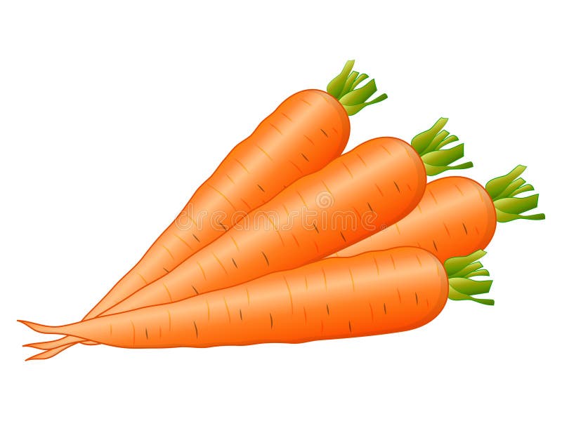 Carrots Vector Illustration Stock Vector - Illustration of drawing ...