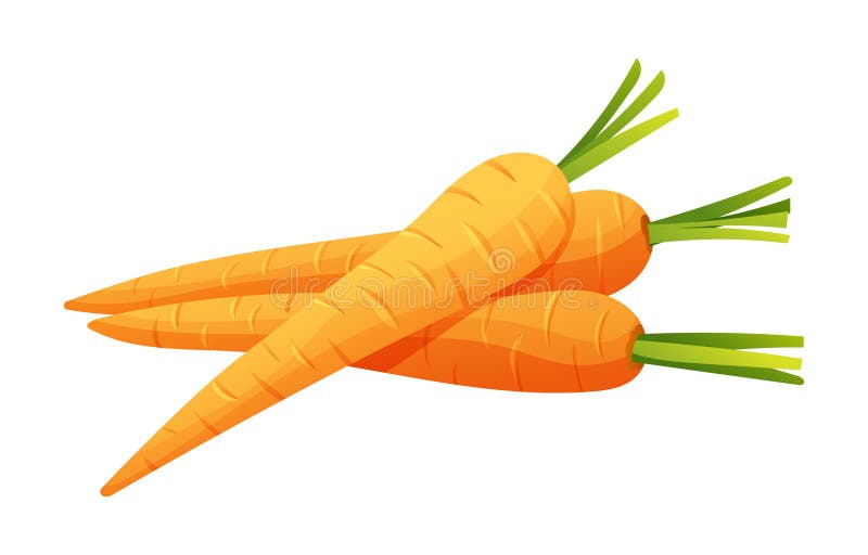 Carrots Vector Animated Clipart on a Green Background Stock Vector ...