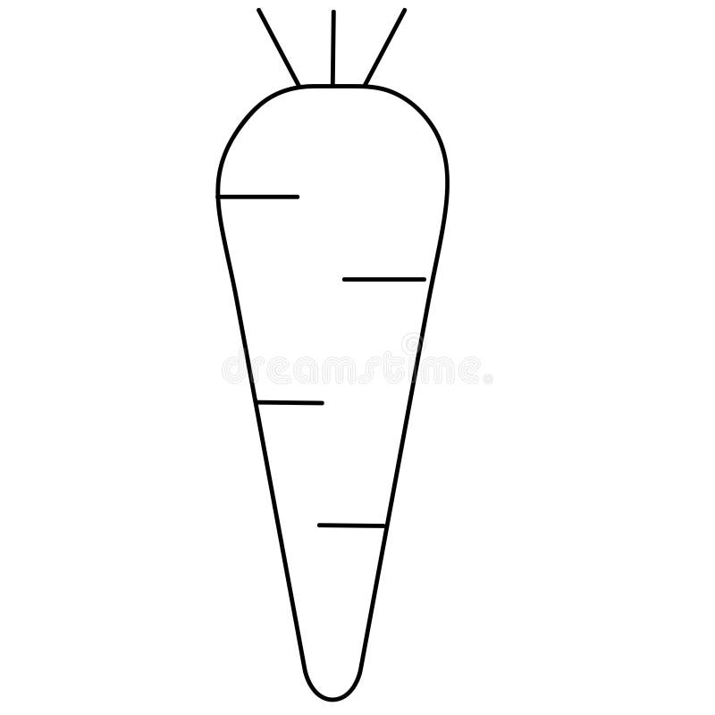 The Carrots.Simple Design. Line Vector Stock Vector - Illustration of ...