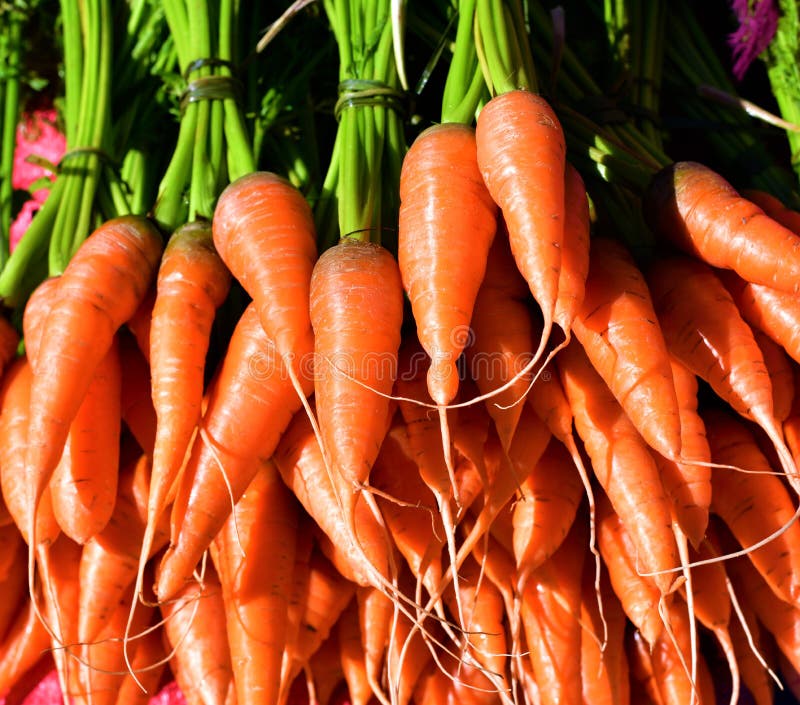 Carrots in a Vegetable Market Stock Photo - Image of harvest, indian ...